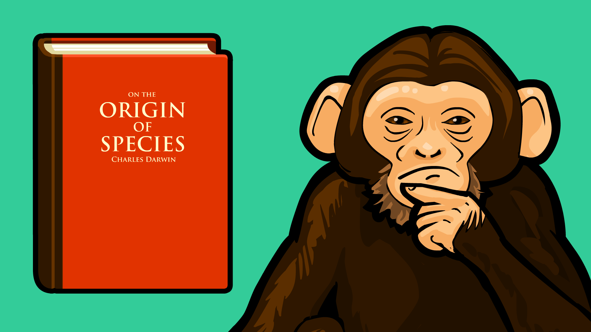 HS-LS2-6 • Stated Clearly