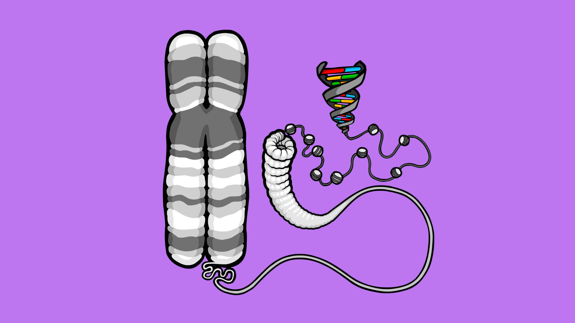 HS-LS1-4 • Stated Clearly